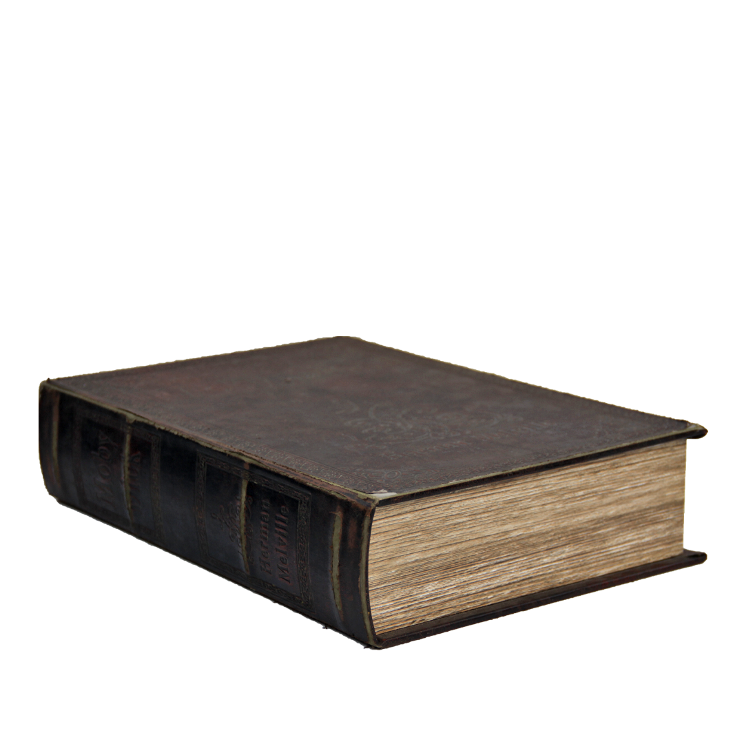 Book Box Moby Dick – KAJI KIDS